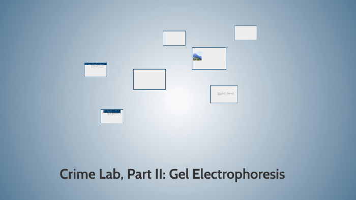 Crime Lab, Part I: Gel Electrophoresis by Toby Desjardins on Prezi