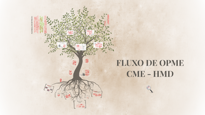 FLUXO DE OPME by cintia Flores on Prezi
