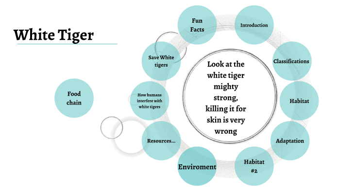 White Tiger by pavi kaur on Prezi
