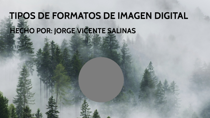 TIPOS DE FORMATOS DE IMAGEN DIGITAL by Jorge Vicente on Prezi