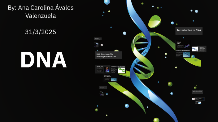 Understanding DNA: The Blueprint of Life by Ana Ávalos on Prezi
