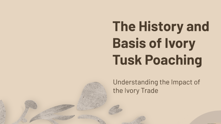 The History and Basis of Ivory Tusk Poaching by ani eskandarian on Prezi