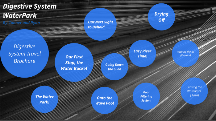 Digestive System Travel Brochure by Conner Baker on Prezi