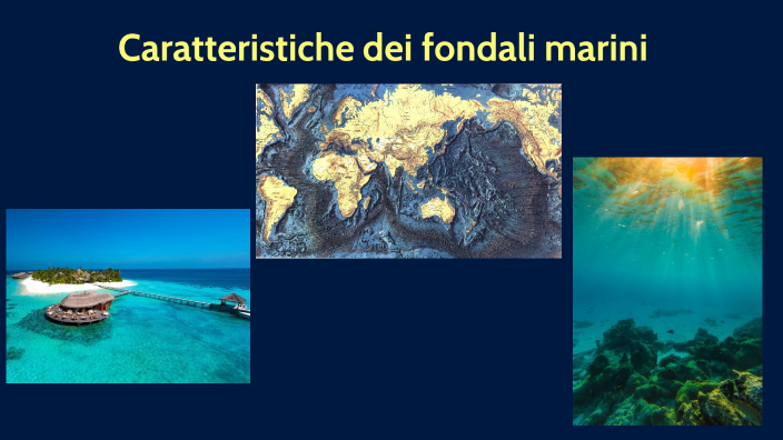 CARATTERISTICHE DEI FONDALI MARINI by Alicd Cristarella on Prezi