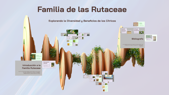 Familia de las Rutaceae by Sebastian Caceres on Prezi