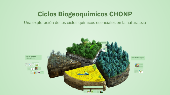 Ciclos Biogeoquímicos CHONP by Marco Hinojos on Prezi