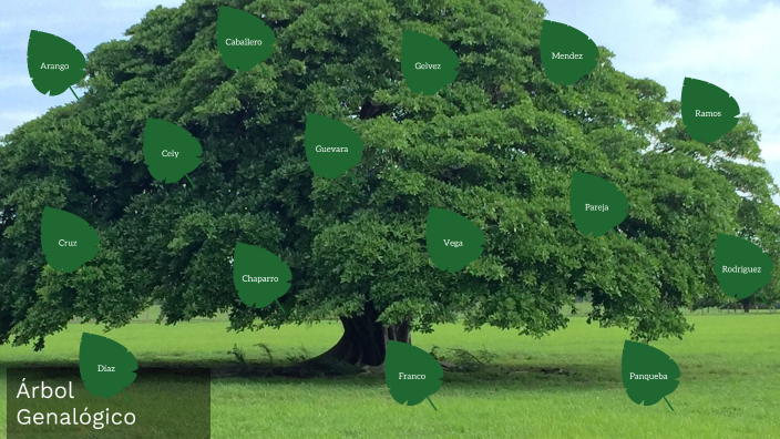 Arboles Genalogicos by Isabela Arango on Prezi