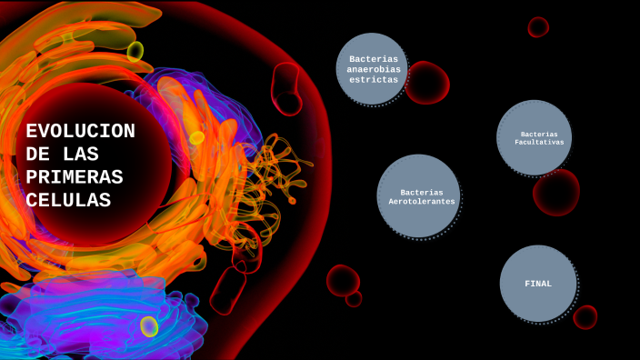 EVOLUCION DE LAS PRIMERAS CELULAS by Garcia Montoya Jose Leonardo on Prezi