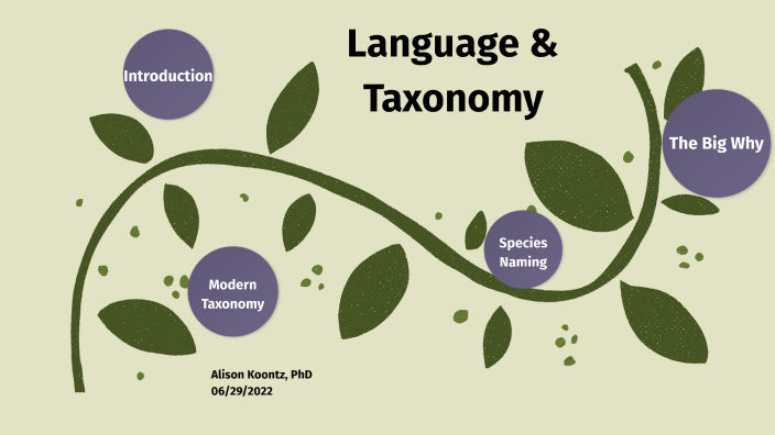 Language & Taxonomy by Alison Koontz on Prezi