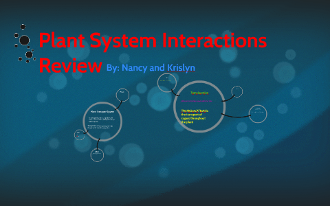 Plant System Interactions Review by NANCY VILLASANA on Prezi