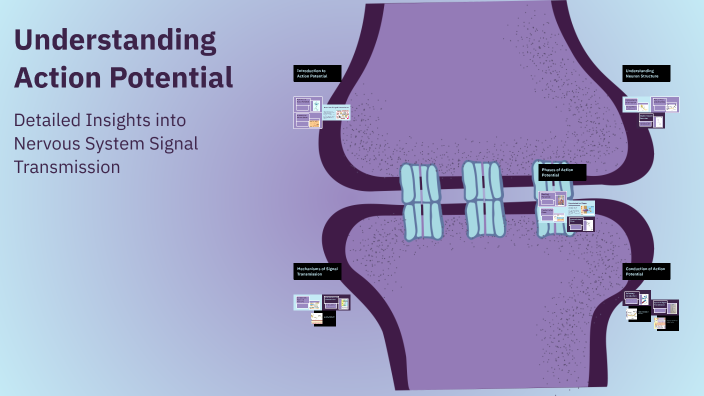 Understanding Action Potential by Navina Lemieux on Prezi Understanding Action Potential by Navina Lemieux on Prezi
