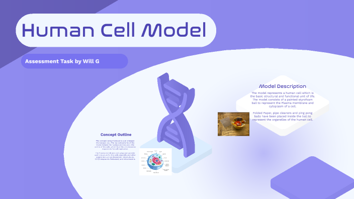 Human Cell Model by Will Glass on Prezi