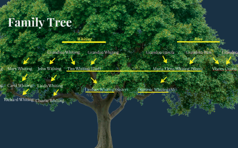 Family Tree by Dominic Edmonds on Prezi