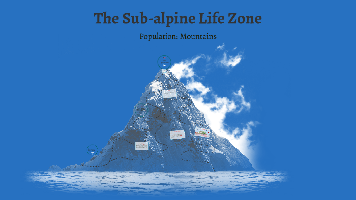The Sub-alpine Life Zone by Alden Ruesch on Prezi