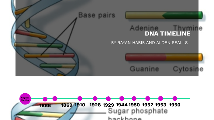 DNA Timeline by Alden Sealls on Prezi