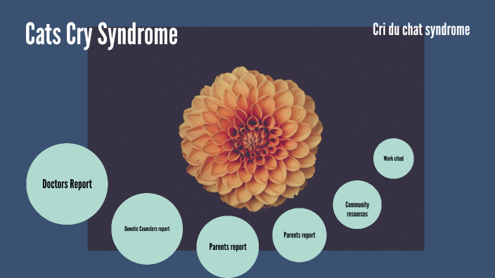Cri Du chat syndrome (Cats cry syndrome) by Johnnay Williams on Prezi