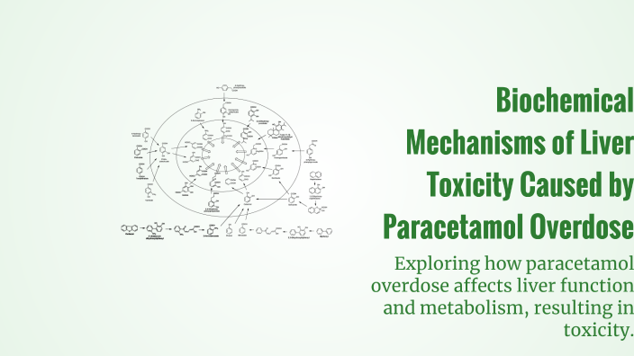 Biochemical Mechanisms of Liver Toxicity Caused by Paracetamol Overdose ...