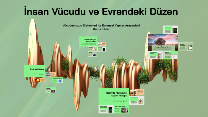 İnsan Vücudu ve Evrendeki Düzen by AYLA AYYILDIZ DOĞAN on Prezi
