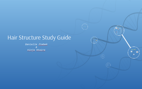 Hair Structure Study Guide by Danielle Ziabek on Prezi