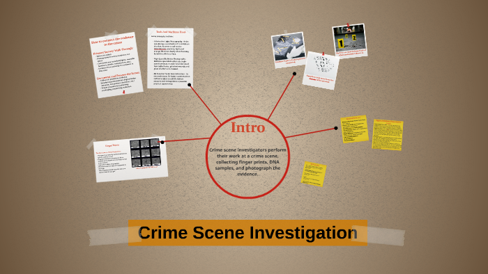 Crime Scene Investigation by Taryn Scott on Prezi