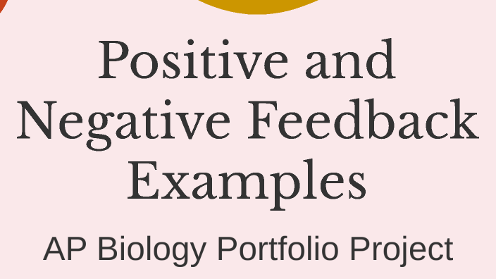 Positive and Negative Feedback Examples by Kennedy Truitt _ Student ...