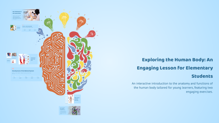Exploring the Human Body: An Engaging Lesson for Elementary Students by ...