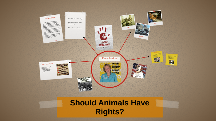 Do Animals Have Rights? by Angelica Padilla on Prezi