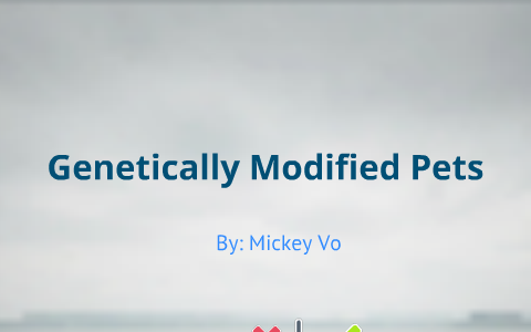 Genetically Modified Pets by mickey vo on Prezi