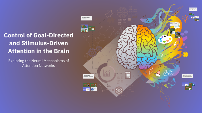 Control of Goal-Directed and Stimulus-Driven Attention in the Brain by ...