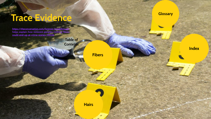 Trace Evidence Presentation by victor martinez on Prezi