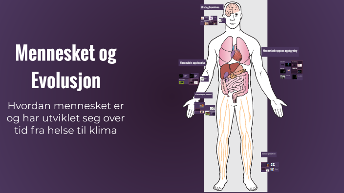 Mennesket og Evolusjon by Tobin Lehto on Prezi