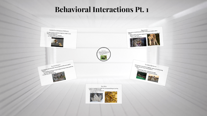 Behavioral Interactions Pt. 1 by Madaline Aucoin on Prezi