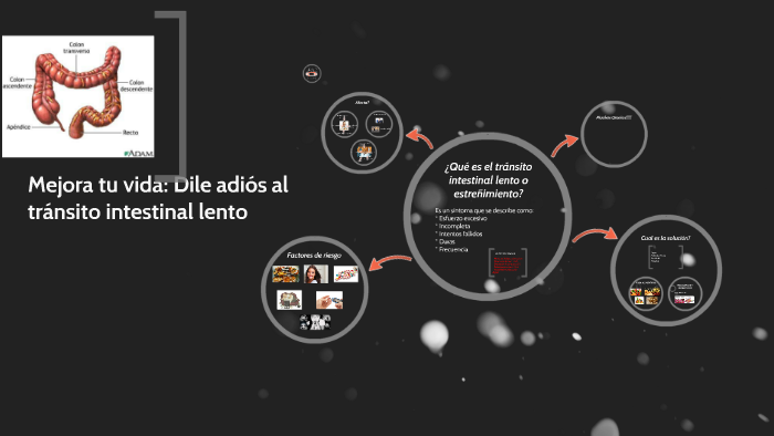 Mejora tu vida: Dile adiós al tránsito intestinal lento by Renata ...