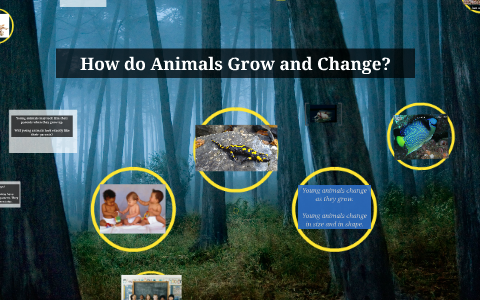How do Animals Grow and Change? by Kristen Urtola on Prezi