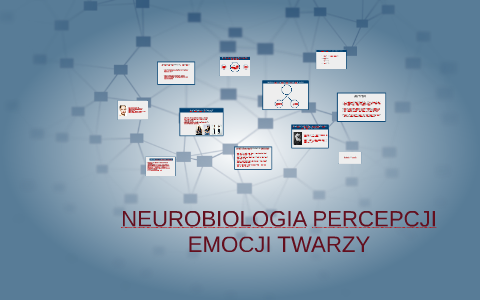 NEUROBIOLOGIA PERCEPCJI EMOCJI TWARZY by Paulina Szymańska on Prezi