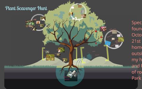Biology Plant Scavenger hunt by Savannah Hodges on Prezi