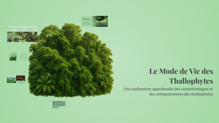 Le Mode de Vie des Thallophytes by IRelax & Sleep on Prezi