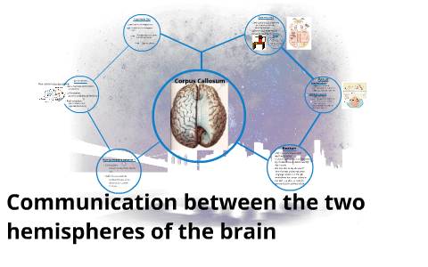 Communication between the two hemispheres of the brain by Khang Vu on Prezi