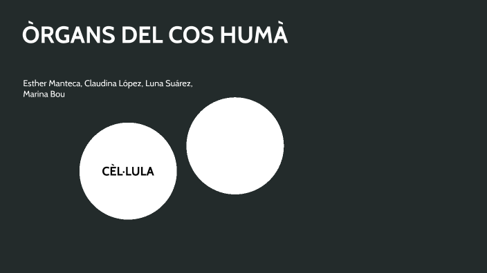 esquema òrgans cos humà by Marina Bou on Prezi