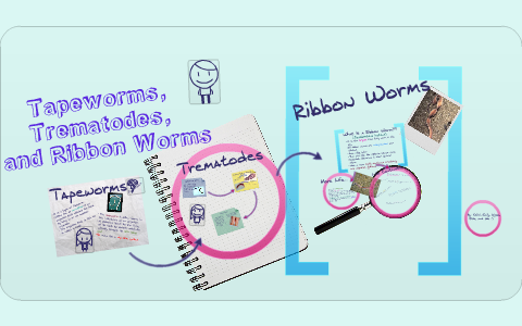 Tapeworms, Trematodes, and Ribbon Worms by Emily Demers on Prezi