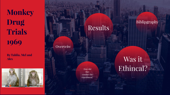 psychology Monkey drug trials by Fox Kat on Prezi