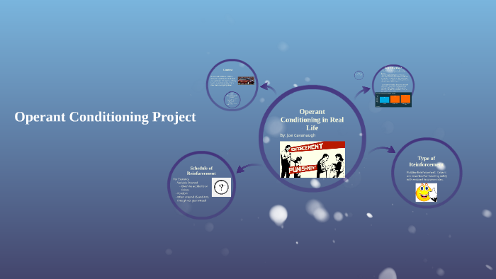 Operant Conditioning in Real Life by Joey Cavanaugh