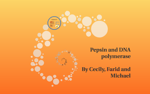 Pepsin and DNA polymerase by Cecily King on Prezi