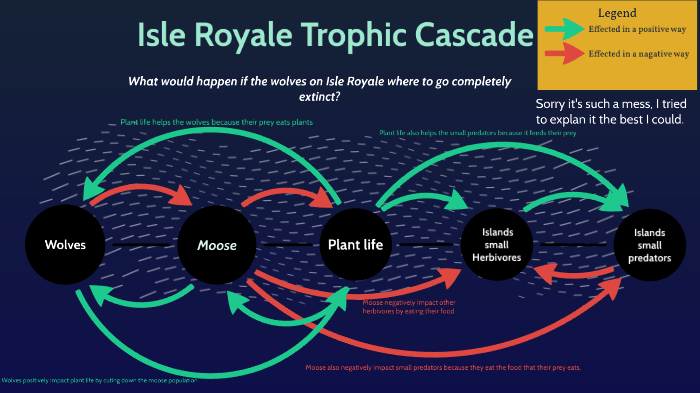 Isle Royale Trophic Cascade by Travis Tyo on Prezi