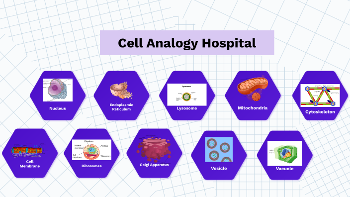 Cell Analogy Hospital (Katie Jong) by Kate Jong on Prezi