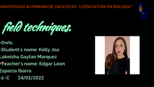 LECHUZAS by Kelly Gaytan on Prezi Design