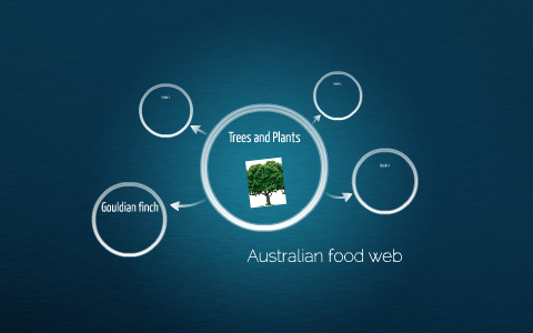 Australian food web by boekmi 289 on Prezi