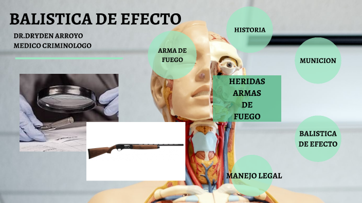 BALISTICA DE EFECTO by dryden arroyo on Prezi