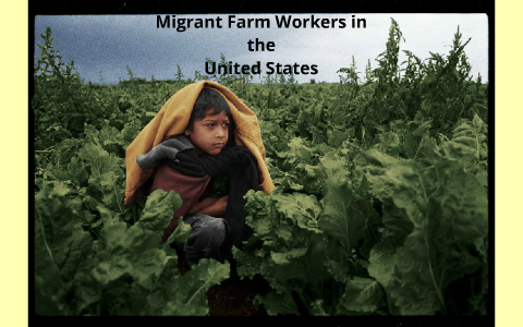 Migrant Farm workers in the U.S. by Mayra Gonzalez on Prezi