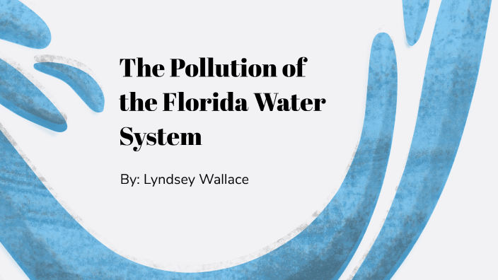 The Pollution of the Florida Water System by lyndsey wallace on Prezi